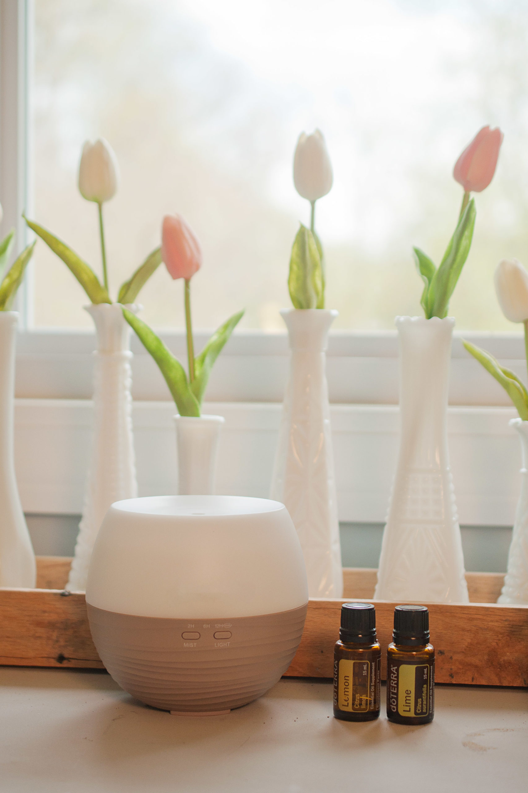 Essential oil 101 – Honeybee at Home